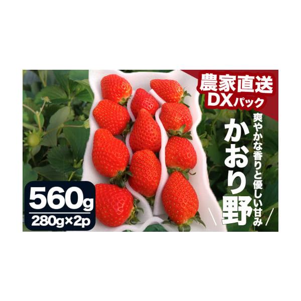 容量2パック入り ※1パックあたりパック重量込み約 280g。消費期限イチゴは非常にデリケートなフルーツですので、到着後、その日のうちにお使いください。翌日にお使いの場合は必ず冷蔵保存をお願いいたします。常温で一晩おきますと、相当な痛みが想...