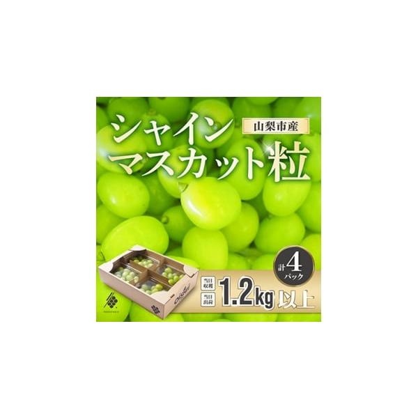 容量■お礼品の内容について・シャインマスカット【訳あり】【粒切り落とし】[約1.2kg]原産地:山梨県山梨市【内容量】:約300gパック×4■注意事項／その他※画像はイメージです。※沖縄県及び離島へのお届けはできません。※天候や生育状況によ...