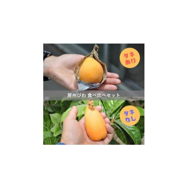 容量■お礼品の内容について・種なし房州びわ「希房」L・Mサイズ[8粒]　　原産地:千葉県館山市　　消費期限:出荷日+4日・種あり房州びわ(温室栽培) Lサイズ[15粒]　　原産地:千葉県館山市　　消費期限:出荷日+4日※到着後、すぐにお礼品...