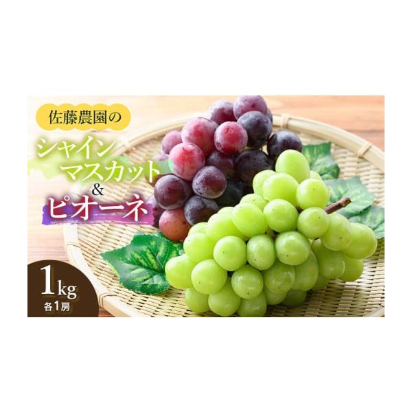 容量・シャインマスカット 1房・ピオーネ 1房計約1kg【提供事業者】 佐藤農園【産地名】鶴岡市櫛引産消費期限冷蔵で約1週間なるべく早めにお召し上がりください。発送期日令和8年9月10日〜令和8年10月10日頃発送予定※天候や発育状況により...