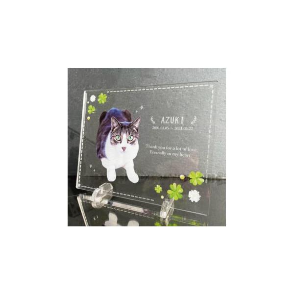 容量サイズ：約115×145ｍｍアクリル厚み：5ｍｍ個数：１個種類：クローバー発送期日確認画像のご承認をいただいてから6営業日以内の発送になります。配送常温 別送事業者株式会社Savoia申込条件何度も申し込み可