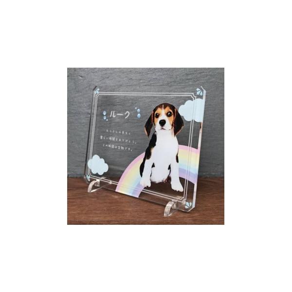 容量サイズ：約115×145ｍｍアクリル厚み：5ｍｍ個数：１個種類：虹の橋発送期日確認画像のご承認をいただいてから6営業日以内の発送になります。配送常温 別送事業者株式会社Savoia申込条件何度も申し込み可