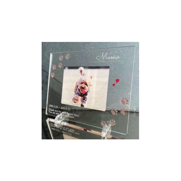 容量サイズ：約115×145ｍｍアクリル厚み：5ｍｍ個数：１個種類：肉球発送期日確認画像のご承認をいただいてから6営業日以内の発送になります。配送常温 別送事業者株式会社Savoia申込条件何度も申し込み可