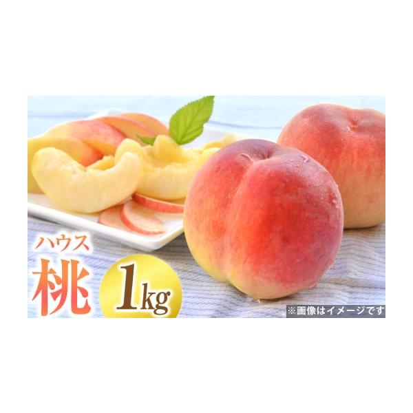 容量約1kg（3玉〜6玉）消費期限【賞味期限】発送日から5日程度※生もの（農産物）ですので、新鮮なうちにできるだけお早めにお召し上がりください。発送期日寄附確認後、2026年5月下旬頃順次発送予定※天候や発送状況により多少前後する場合がござ...
