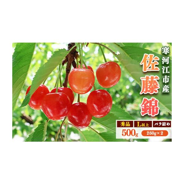 容量2026年産（令和8年産）山形県産（寒河江市産）さくらんぼ 「佐藤錦」《秀》Lサイズ以上 500g (250g×2パック)※令和8年産の先行予約品です。※こちらの返礼品は、のし・ラッピング対応はできません。※糖度保証品ではありません。糖...