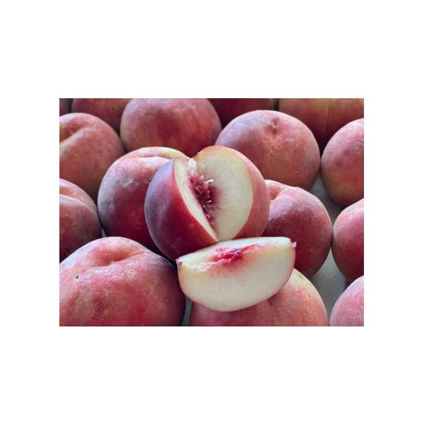 容量2kg(秀5〜7玉)消費期限1週間程度発送期日2026年8月中旬〜8月下旬【配達】ヤマト運輸気温状況に応じて冷蔵または常温発送となります配送常温 冷蔵 のし 時間指定 別送申込期日2026年8月10日まで事業者企業組合 スイーツキッチン...