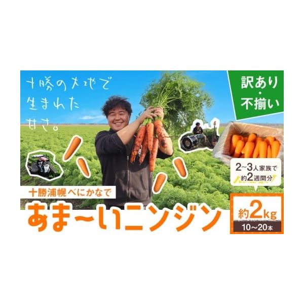 容量約2kg（10〜20本）消費期限保存される場合は冷蔵庫や冷暗所などで保管し、お早めにお召し上がりください。発送期日12月上旬から5月上旬頃出荷配送冷蔵 時間指定 別送申込期日4月下旬頃まで(予定数量に達し次第受付終了)事業者農事組合法人...