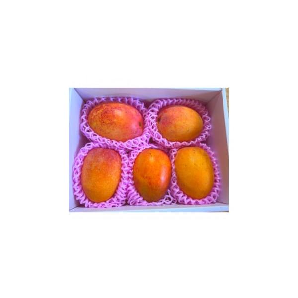 容量■お礼品の内容について・マンゴー[約1kg(2〜3個)]原産地:鹿児島県伊仙町消費期限■賞味期限:出荷日+6日発送期日2026-07-05〜2026-08-15　※離島にはお届けできません。配送冷蔵 別送申込期日〜2026-08-10事...