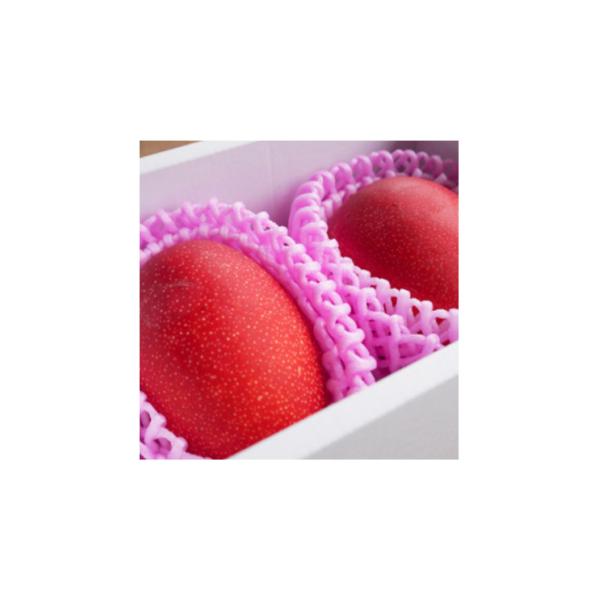 容量■お礼品の内容について・マンゴー[約1kg(2個〜3個)]原産地:鹿児島県伊仙町消費期限■賞味期限:出荷日+6日発送期日2026-07-05〜2026-08-15　※離島にはお届けできません。配送冷蔵 別送申込期日〜2026-08-10...