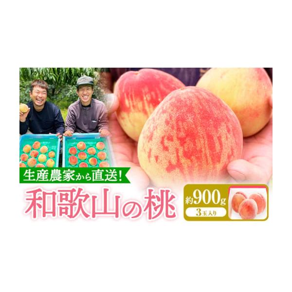 容量約900g (3玉入り)消費期限なるべくお早めにお召し上がりください。発送期日2026年6月中旬-2026年8月末頃出荷配送冷蔵 時間指定 別送申込期日7月末頃まで※但し、予定数量に達し次第終了事業者GREEN JUNCTION株式会社...