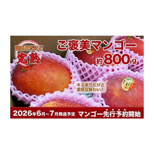 容量アップルマンゴー　800g原産国／製造国：日本沖縄県産地（都道府県）：沖縄県販売形態（訳あり）：訳あり販売者：一般社団法人　南城市観光協会 南城市地域物産館　沖縄県南城市知念字久手堅539番地消費期限青果物ですので到着後お早めにお召し上...