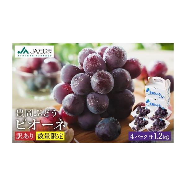 容量豊岡ぶどう「ピオーネ」約1.2kg（約300ｇ×４パック）消費期限冷蔵で10日〜3週間発送期日ピオーネ：8月下旬頃から順次発送予定配送冷蔵 別送申込期日通年申込を受け付けております。事業者ファーマーズマーケット「たじまんま」申込条件何度...