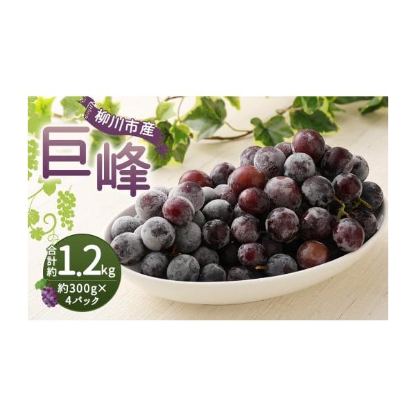 容量300g×4パック合計：約1.2kg消費期限賞味期限：5日発送期日2026年8月下旬〜9月上旬迄順次発送予定配送冷蔵 時間指定 別送申込期日2026年8月10日まで（在庫なくなり次第終了）事業者JA柳川申込条件何度も申し込み可