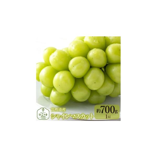 容量シャインマスカット700g（１房）消費期限お早めにお召し上がりください発送期日8月中旬〜10月上旬 発送予定配送常温 別送申込期日〜10月10日まで事業者農業生産法人にこっと申込条件何度も申し込み可