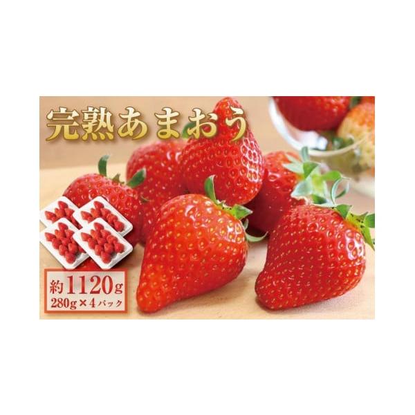 容量280g×4パック（約1120g）発送期日2026年1月〜2月まで順次発送予定配送冷蔵 時間指定 別送申込期日2026年2月22日まで受付事業者辻園芸申込条件何度も申し込み可、オンライン決済限定