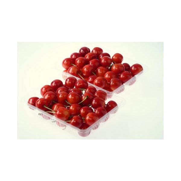 容量秀：600g(Lサイズ以上：300g×2パック、バラ詰め)※品種の指定は承る事はできません消費期限2〜3日程度発送期日2026年6月中旬〜7月上旬【配達】ヤマト運輸気温状況に応じて冷蔵または常温発送となります配送常温 冷蔵 のし 時間指...