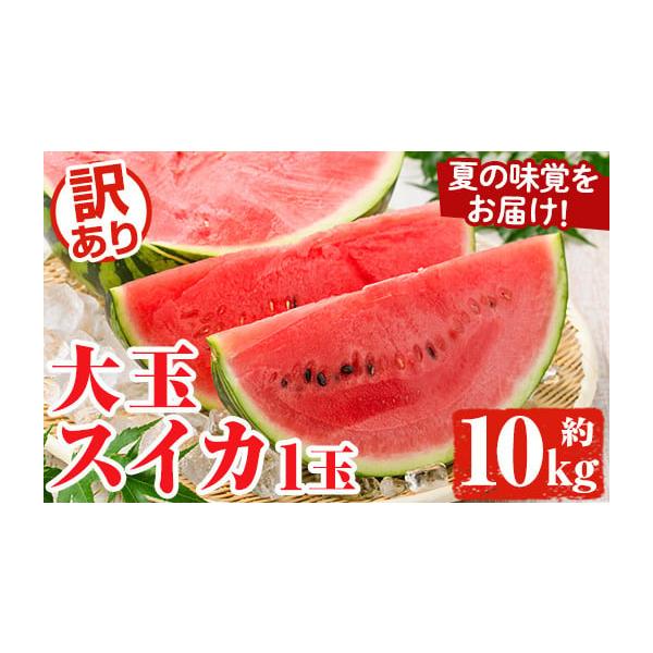 容量訳あり！鹿児島県産 大玉スイカ：1玉・約10kg消費期限賞味期限：出荷日から7日※到着後早めにお召し上がりください。発送期日2026年6月中旬以降順次発送予定※青果のため、育成状況により発送が前後する場合がございます。配送常温 時間指定...