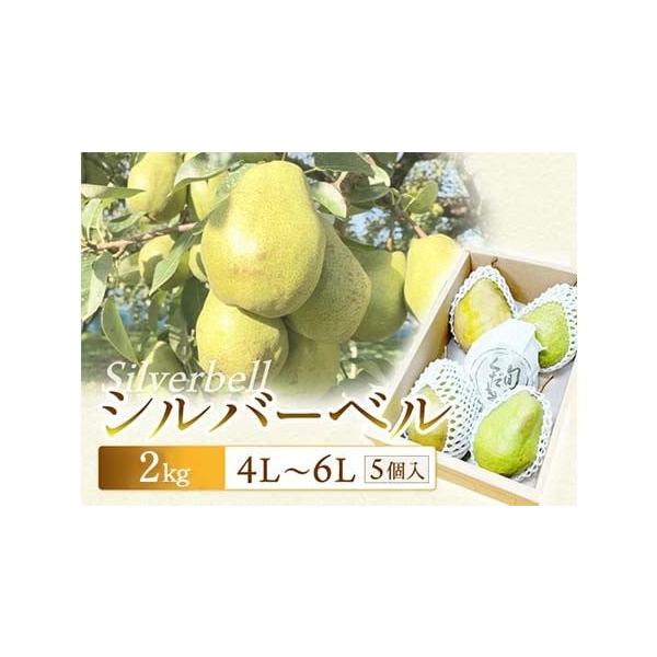 容量シルバーベル2kgサイズ：4L〜6L個数：5個発送期日2026年12月上旬頃〜12月下旬頃配送常温 時間指定 別送申込期日2026年12月10日まで事業者合資会社アイレッツ申込条件何度も申し込み可、オンライン決済限定