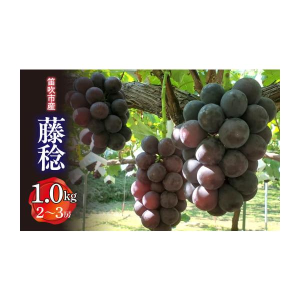 容量1.0kg (2〜3房)消費期限到着後お早めにお召し上がりください発送期日2026年8月中旬頃〜2026年9月下旬頃　順次発送配送冷蔵 別送申込期日〜9月10日まで事業者ハッピーファーム申込条件何度も申し込み可、オンライン決済限定