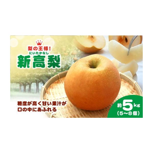 容量新高梨 約5kg（5〜8個）消費期限生鮮食品のためお早目にお召し上がりください発送期日2026年9月上旬〜10月上旬※生育状況によって発送時期が前後する場合がございます。※離島（沖縄含む）配送不可配送冷蔵 別送申込期日2026年9月末ま...
