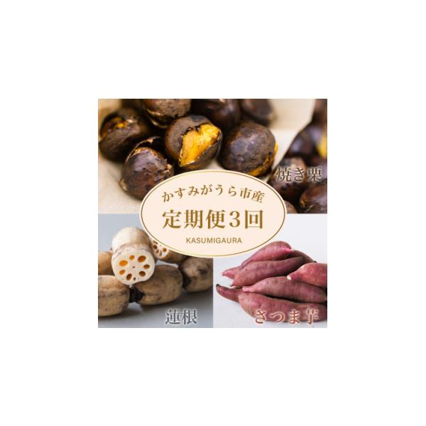 容量■お礼品の内容について【10月】甘さ抜群!貴重品種『倉方』の焼き栗 200g×3セット【11月】【茨城県産】生さつまいも 紅はるか 5kg【12月】肉厚でシャキシャキの食感と甘みが特徴 掘りたて れんこん　4kg(4〜7本)・甘さ抜群!...