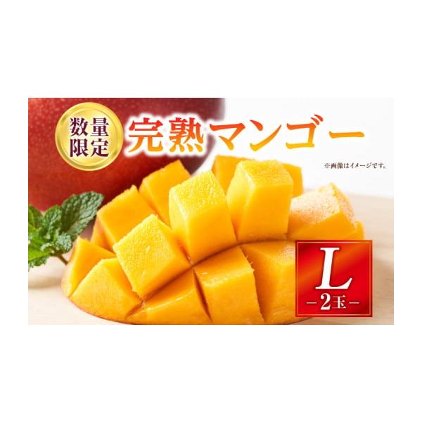 容量完熟マンゴー　Lサイズ×2玉(合計620〜690g)消費期限賞味期限：完熟の状態での出荷となりますので、到着後できるだけお早めにお召し上がりください。発送期日2026年4月21日〜7月15日までに順次発送予定※一部離島にはクール便でのお...