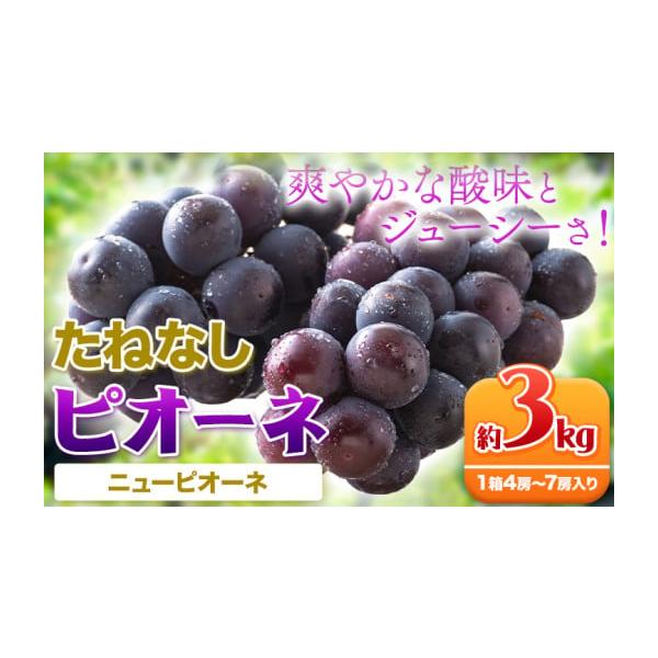 容量約3kg(1箱4〜7房入り)※入り数の指定はできません。消費期限お早めにお召し上がりください。発送期日2026年8月中旬-9月中旬頃出荷予定配送冷蔵 時間指定 別送申込期日8月末頃まで(予定数量に達し次第終了)事業者厳選館申込条件何度も...