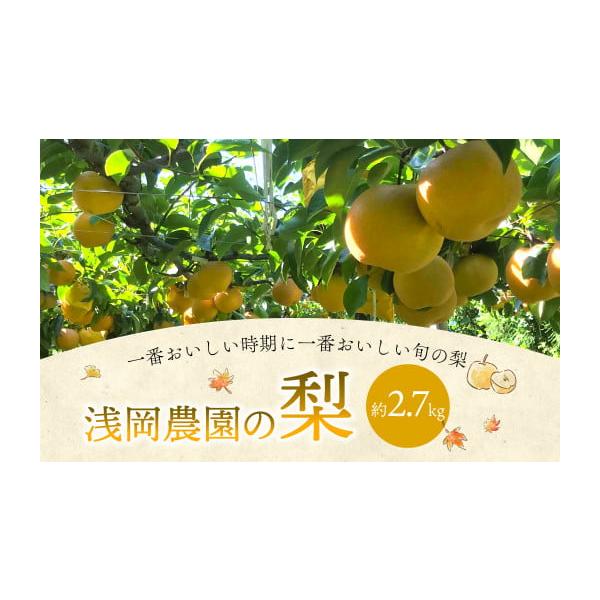 容量浅岡農園の梨約2.7kg消費期限賞味期限：7日発送期日2026年9月上旬より11月上旬まで順次発送予定配送冷蔵 時間指定 別送申込期日2026年10月7日まで寄附申込受付事業者浅岡農園申込条件何度も申し込み可