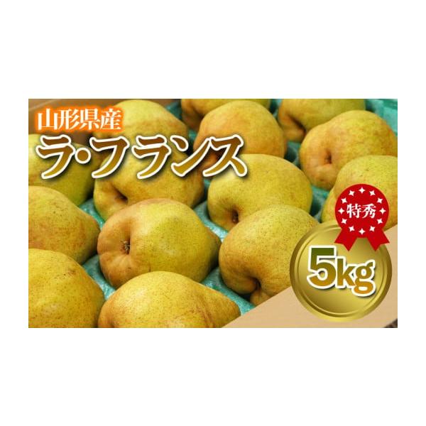 【発売日：2026年02月01日】容量【令和8年産】ラ・フランス 特秀品 5kg (12〜20玉)発送期日2026年12月01日頃〜2026年12月31日頃※状況により配送時期が前後する場合がございます。(着日指定不可)配送常温 時間指定 ...