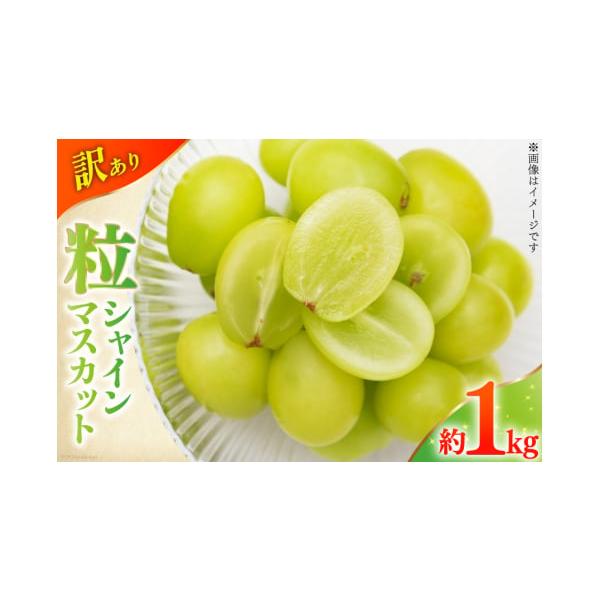 容量粒シャインマスカット約1.0kg■原産地 山梨県韮崎市■加工地（製造地）山梨県韮崎市消費期限到着次第、お早めにお召し上がりください。発送期日2026年9月前半〜10月前半において順次発送※申込期日：2026年9月15日（決済確認）※申込...