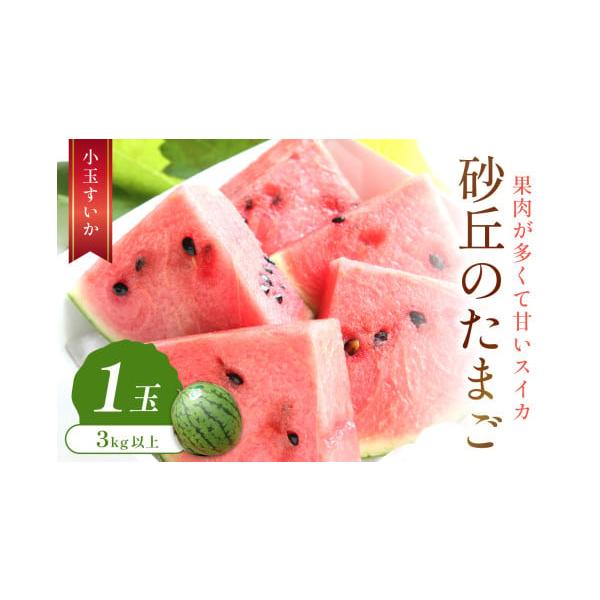 容量1玉：3kg以上消費期限【賞味期限】出荷日から5日程度【保存方法】到着後、直射日光・高温多湿を避けて保管をお願いいたします。発送期日【配送可能期間】2026年6月中旬〜7月下旬順次発送配送常温 時間指定 別送申込期日期間限定（2025年...