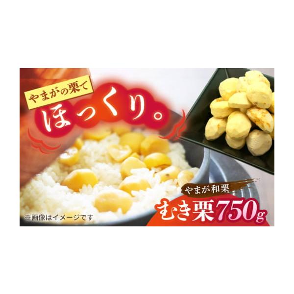 容量むき栗 約750g（約250g×3pc）【原料原産地】熊本県山鹿市産【加工地】熊本県山鹿市消費期限【賞味期限】発送日から半年発送期日ご入金確認後、1ヶ月以内に発送いたします。※天候により配送期間が予告なく前後する可能性がございますので、...