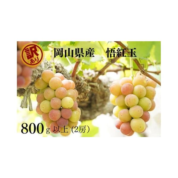 容量真庭市産  訳あり悟紅玉　800g以上　2房　旧ゴルビー消費期限お早めにお召し上がりください。・お受け取り後はすぐに中身をご確認いただき、お早目にお召し上がりください。・到着後は冷暗所または冷蔵庫で保存をお願いいたします。・お客様のご都...