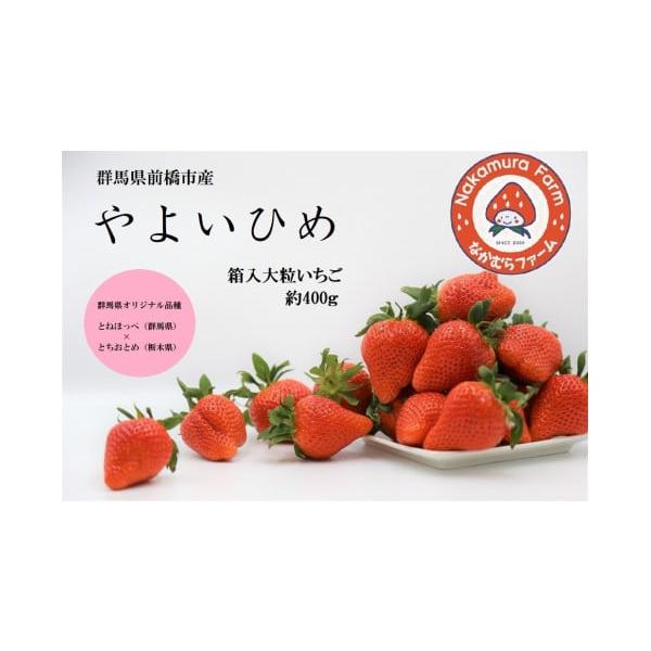 容量箱入り大粒いちご「やよいひめ」約400g※粒数の指定は出来ません。※梱包などは注意をしておりますが、いちごは配送中の振動などを原因とする傷みが入る可能性の高い果物です。誠に恐縮ですがご理解の上お申込みください。消費期限発送日含め３日以内...
