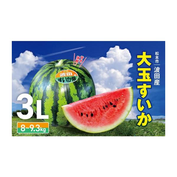 容量すいか３L（８〜9.3kg）消費期限常温で約4、5日冷蔵で約1週間発送期日2026年7月中旬頃から8月中旬頃まで発送予定。（青果物のため発送時期が前後する場合もございます）配送常温 別送申込期日7月下旬頃まで受付をしております。事業者大...