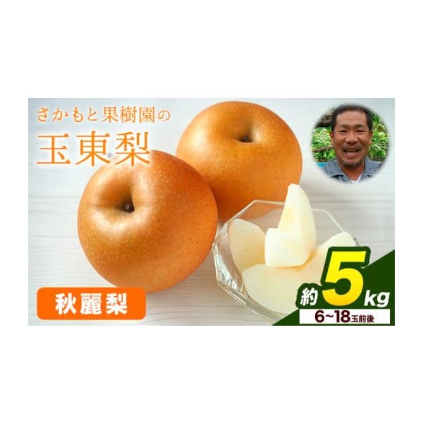 容量【秋麗梨】 約5kg(6-18玉前後)発送期日8月中旬-8月下旬頃出荷配送冷蔵 時間指定 別送申込期日8月頃まで受付予定（生育状況や寄附状況により、変更になる場合がございます。）事業者-申込条件何度も申し込み可