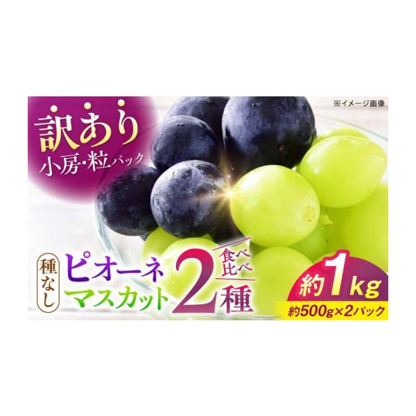容量ピオーネ 約500g×1パックシャインマスカット 約500g×1パック【原料原産地】広島県三次市【必ずご確認ください】※着日指定は承っておりません。ご不在の予定がある場合は、備考欄にご記入ください。ただし、ご希望に沿ったお届けが難しい場...