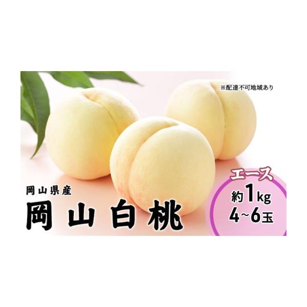 容量岡山白桃 エース 4〜6玉 約1kg岡山県内産（5条8号ハ）※お届け日、時間の指定は申し訳ないですが、お受けできません。※品種の指定、および果実の大きさや玉数等をご指定いただくことはできません。※品種によって、多少色の違いはございます。...