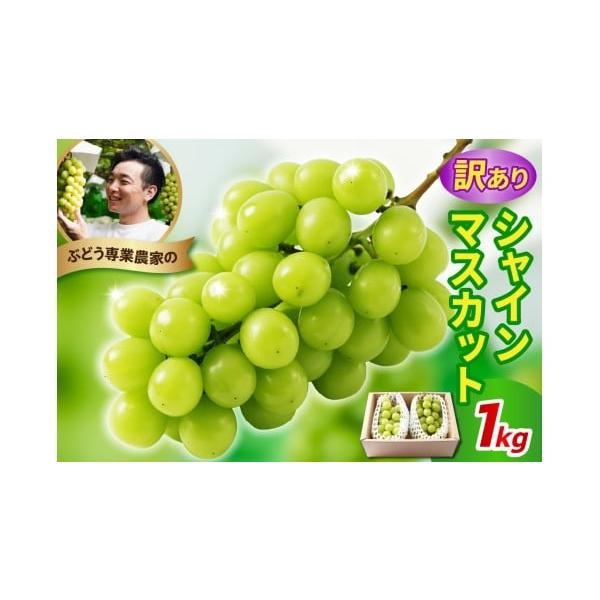 容量1kg（小分けの房）※重さは目安となりますので、ご了承ください。消費期限到着後5日程度※なるべくお早めにお召し上がりください。発送期日2026年9月上旬〜10月下旬頃発送予定※生育状況によって前後する場合があります。配送冷蔵 時間指定 ...