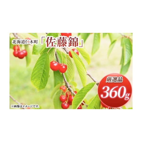 容量さくらんぼ（品種：佐藤錦）360g（180g×2パック）サイズ：L以上　産地：北海道仁木町※賞味期間：発送から3日程度（冷蔵）※ふるさと納税返礼品地場産品基準(平成31年総務省告示第179号第5条)のうち該当する類型について仁木町内にお...