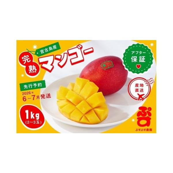 容量品種：アーウィン生産地：宮古島内容量：1kg(2〜3玉)消費期限到着日より３日間程度。到着してすぐにでも食べられますが、「指で軽く押して柔らかさを感じる頃」または「甘い香りが強くなってきた頃」が食べ頃です。冷蔵庫で1〜2時間冷やしてから...