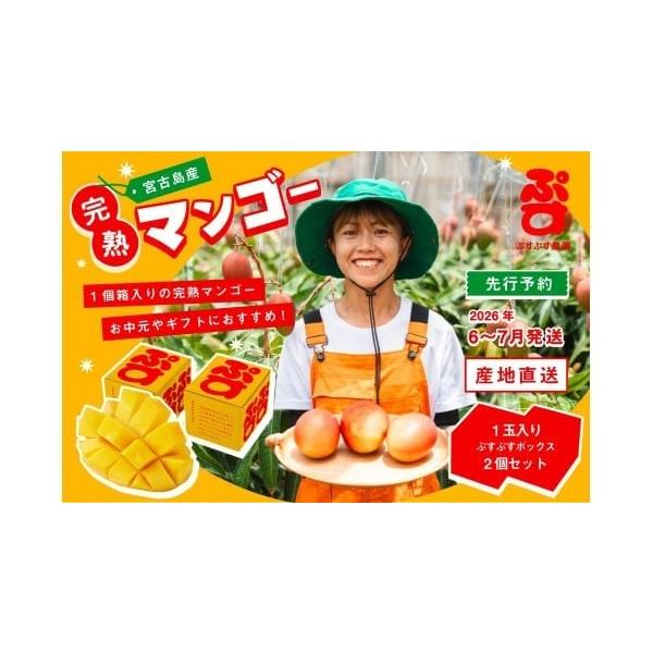 容量品種：アーウィン 生産地：宮古島 内容量：1玉あたり420〜450g程度×2消費期限到着日より３日間程度。到着してすぐにでも食べられますが、「指で軽く押して柔らかさを感じる頃」または「甘い香りが強くなってきた頃」が食べ頃です。冷蔵庫で1...