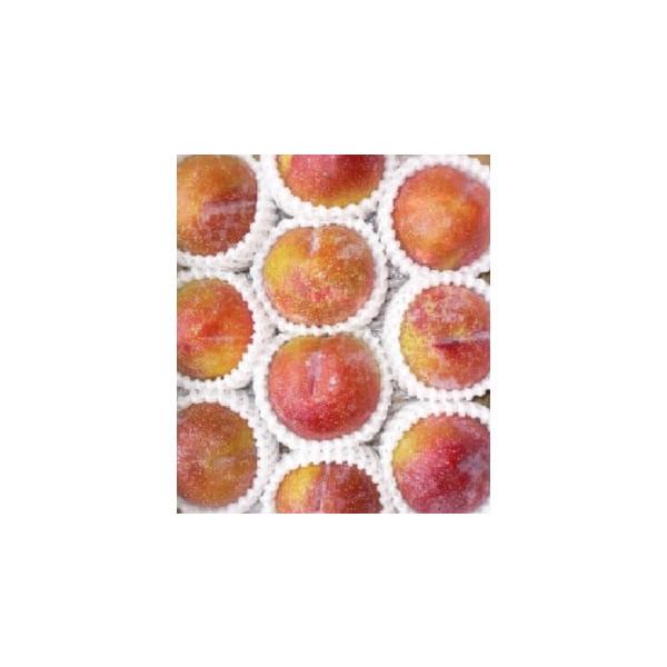 容量2kg(秀12〜16玉)消費期限1週間程度発送期日2026年9月上旬〜9月下旬【配達】ヤマト運輸気温状況に応じて冷蔵または常温発送となります配送常温 冷蔵 のし 時間指定 別送申込期日2026年8月31日まで事業者企業組合 スイーツキッ...