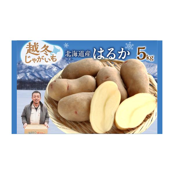 容量越冬じゃがいも はるか 5kg消費期限到着後約1ヶ月※保存方法により前後いたします。【保存方法】常温保存だと芽が出やすいため野菜室や風通しの良い冷暗所等で保管しお早めにお召し上がりください。発送期日2026年2月中旬より順次発送いたしま...