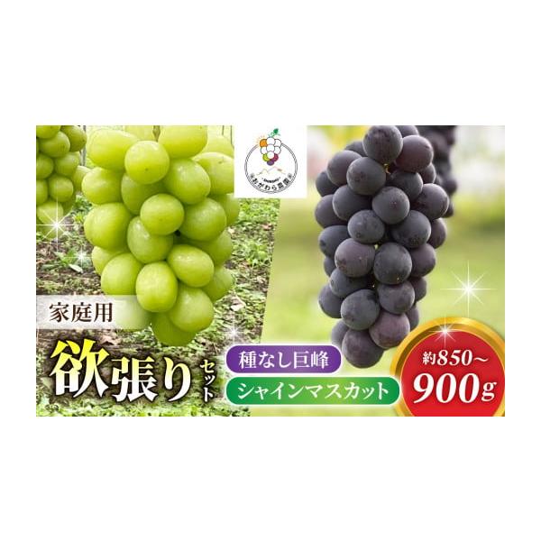 容量シャインマスカット1〜2房、巨峰 1〜2房合計2〜4房（約850〜900g）消費期限発送から1週間程度(お早めにお召しあがりください)発送期日2026年9月上旬〜9月下旬のお届け予定※天候・気候の諸条件により収穫・出荷の時期に変動がある...