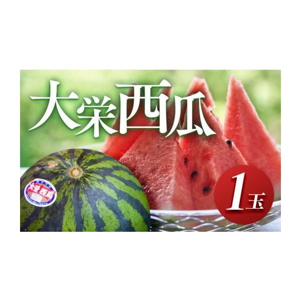 容量2L以上（7〜10kg前後）×1玉消費期限生鮮食品ですのでなるべくお早めにお召し上がりください。発送期日2026年6月中旬〜7月上旬頃に順次発送予定配送常温 時間指定 別送申込期日〜2026年7月5日事業者高間商店申込条件何度も申し込み可