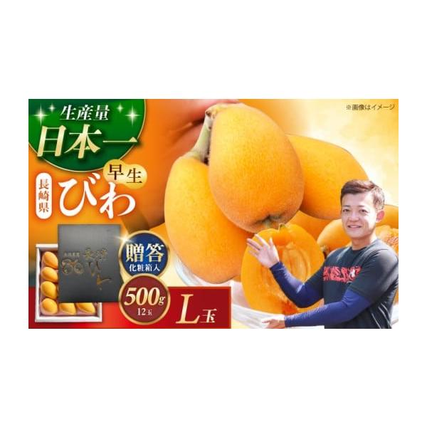 容量長崎県産 長崎ハウスびわ「早生」 500g12玉入り（化粧箱入り） ※びわは大変に繊細なフルーツです。取り扱いには十分にご注意ください。【原料原産地】長崎県産消費期限到着3日ほど※涼しいところで保管、取扱注意発送期日2026年4月〜5月...