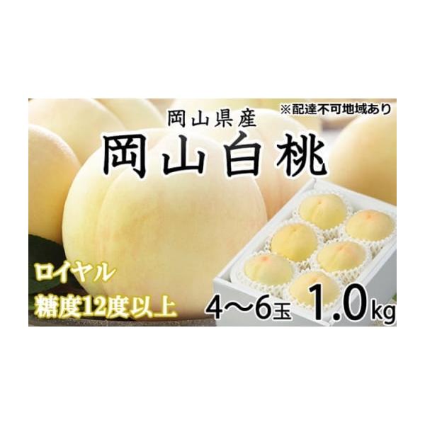 容量岡山白桃 ロイヤル 4〜6玉 約1kg（早生種・中生種）岡山県内産（5条8号ハ）※お届け日、時間の指定は申し訳ないですが、お受けできません。※品種の指定、および果実の大きさや玉数等をご指定いただくことはできません。※品種によって、多少色...