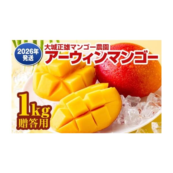 容量1kg（2玉〜3玉）※大きさ、玉数の指定は出来ません。消費期限青果物の為、早めにお召し上がり下さい。発送期日2026年6月中旬〜7月下旬※お申し込み順の発送となりますので予めご了承くださいますようお願い致します。【寄付金受領証明書および...