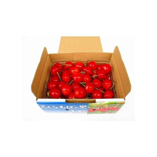 容量秀500g(Lサイズ以上：500g×1パック、バラ詰め)消費期限2〜3日程度発送期日2026年6月下旬〜7月上旬※生育状況によってお届けが前後する場合がございます。【配達】ヤマト運輸配送冷蔵 のし 時間指定 別送申込期日2026年6月3...